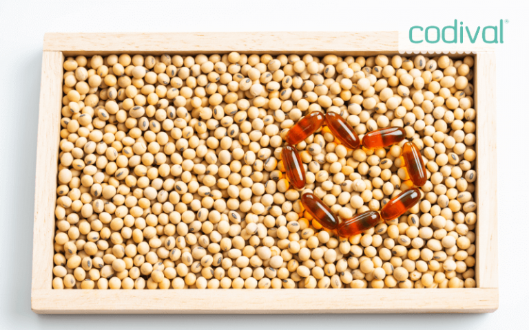 Lecitina de Soja Propiedades Beneficios y Contraindicaciones