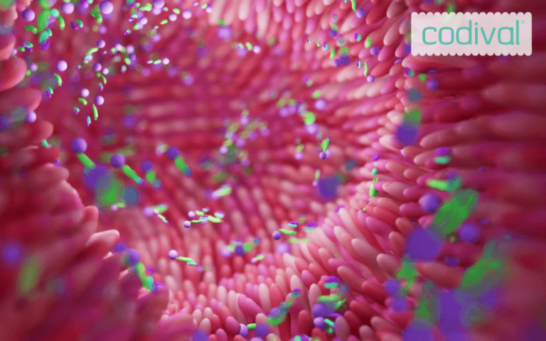 Microbiota intestinal, qué es y como influye en nuestra salud