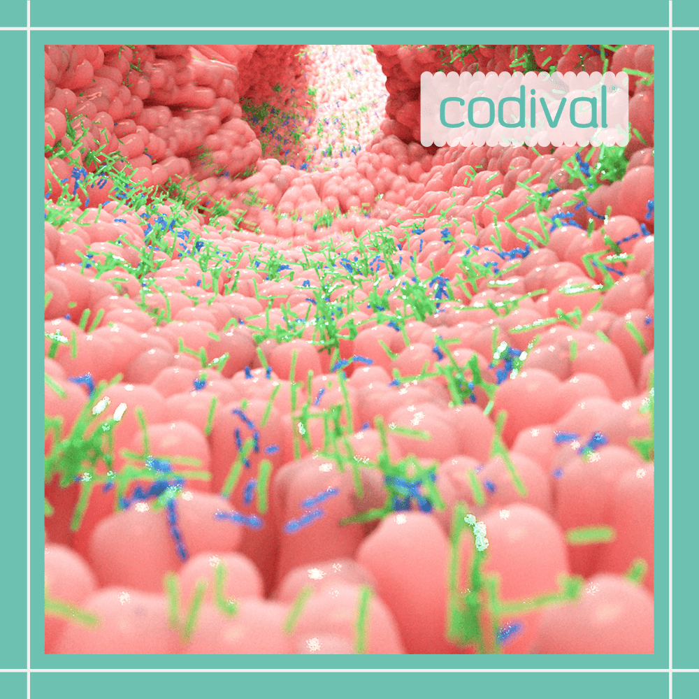 Microbiota intestinal, qué es y como influye en nuestra salud